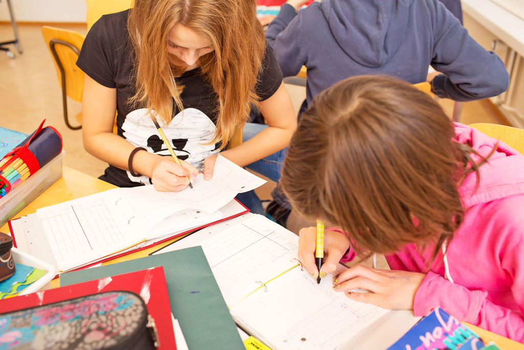 Personalisiertes Lernen – das Konzept der lernrelevanten Faktoren – IQES