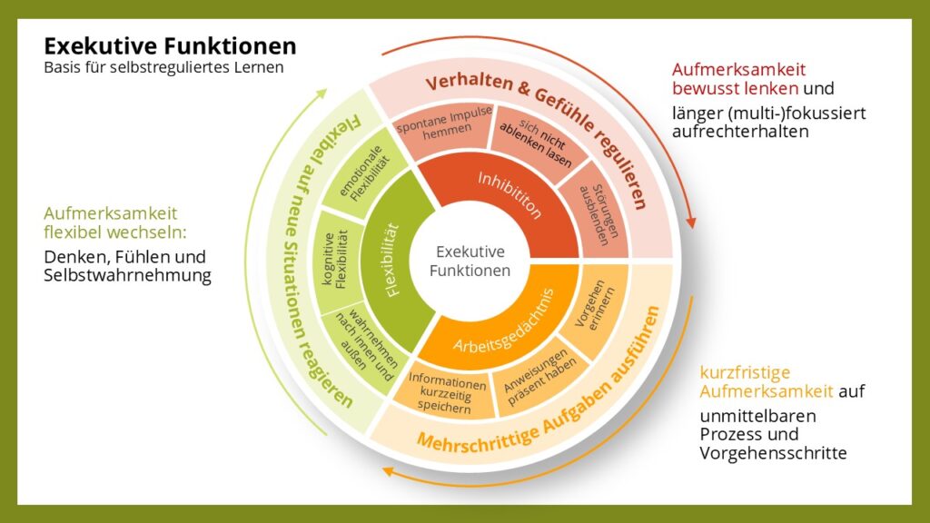 Exekutive Funktionen, Lernen und Bewegung – IQES