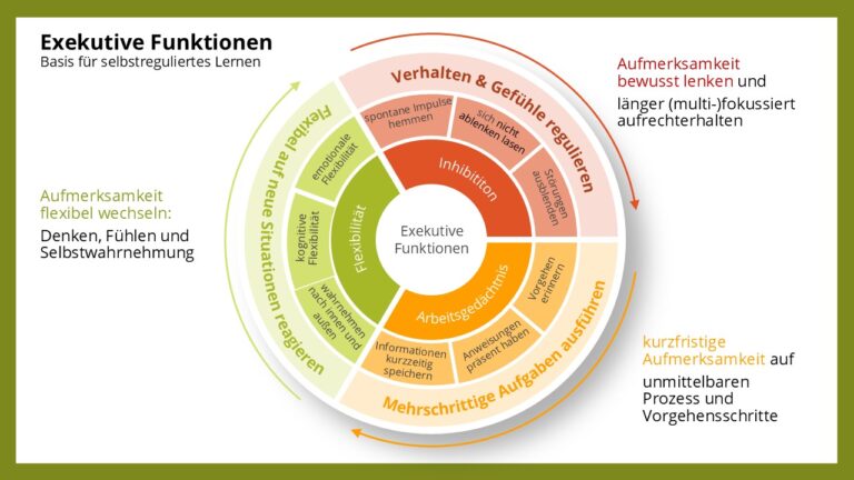Exekutive Funktionen, Lernen und Bewegung – IQES